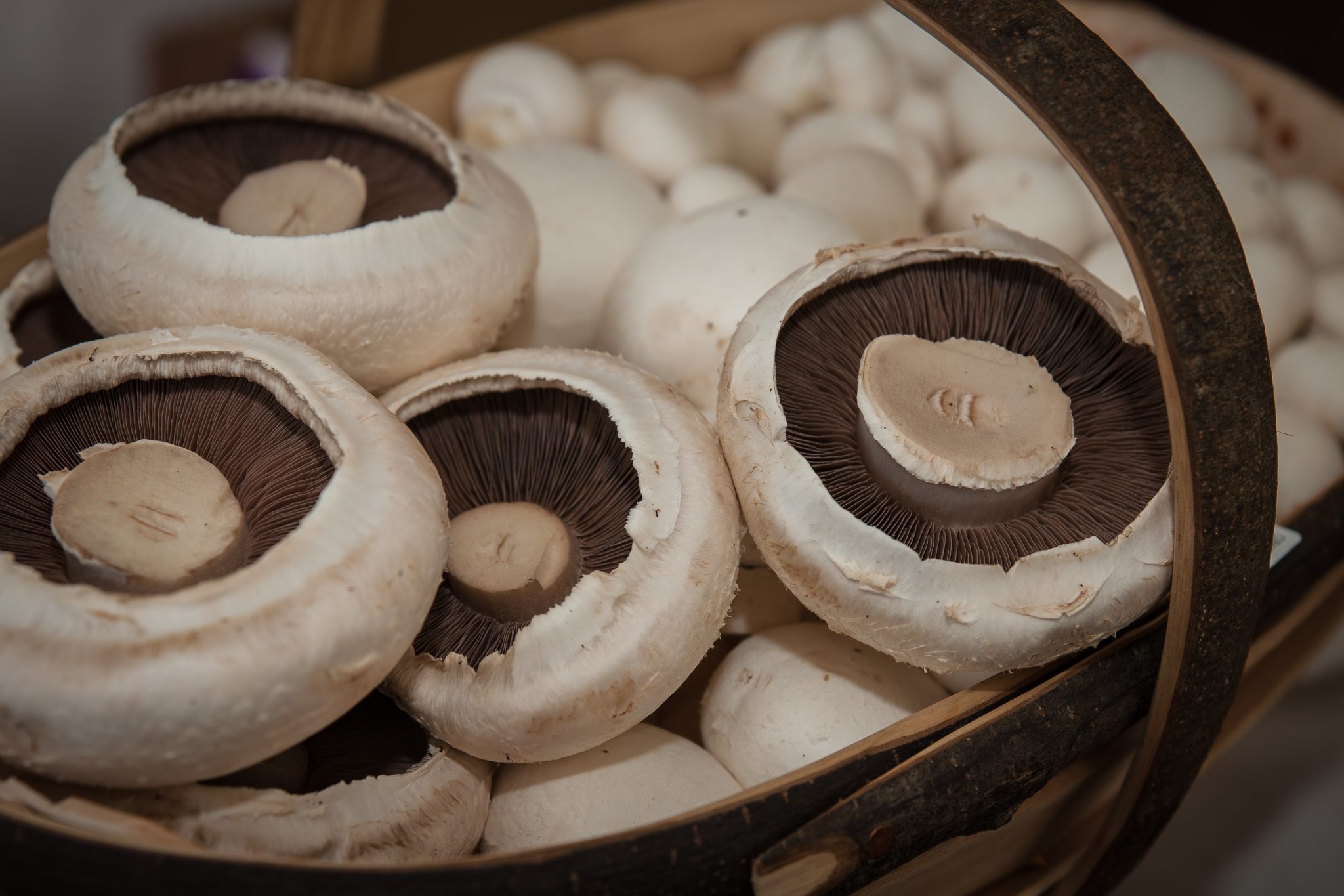 Our Products - Mushroom Producer Organisation